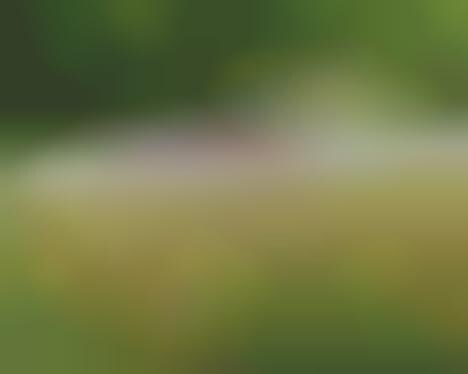 Biodegradable Burial Suits : Infinity Burial Suit