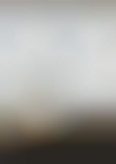 Dual-Perspective Photography : Perspective Photography