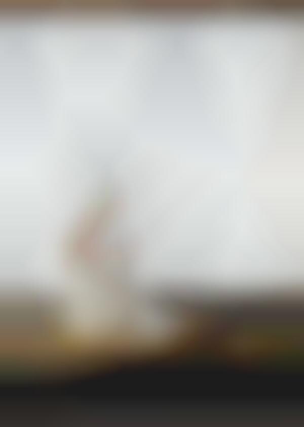 Dual-Perspective Photography : Perspective Photography