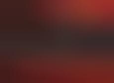 Royal Guard-Imitating Beer : guardsman