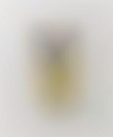 Cabinet-Like Workstations : Forming the Border Desk