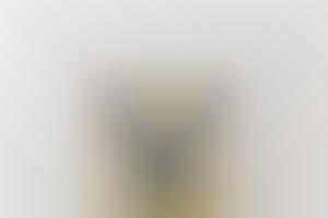 Cabinet-Like Workstations : Forming the Border Desk