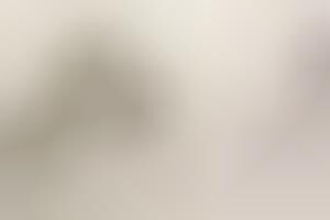 Amusingly Morbid Fly Art : fly art