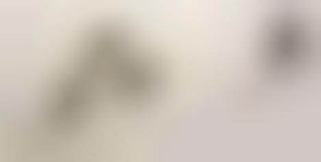 Amusingly Morbid Fly Art : fly art