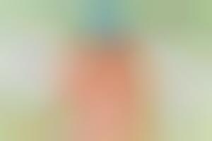 Revealing Repellent Infographics : bug spray chemicals