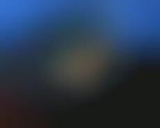 Luxury Public Transit Homes : Bus Home