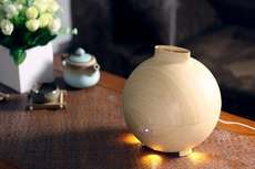 Organically Designed Humidifiers : Air Diffuser