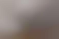 Human Animal Hydrid Art : Fusion Art