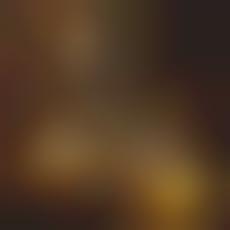 Upcycled Shellfish Lights : Fairy Light