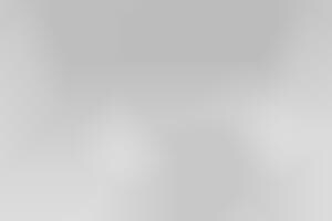 Adapted Cartoon Blogs : This Charming Charlie