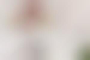 Slanted Book Holders : Wall Shelf