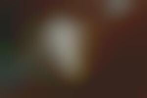 Dead Bug Funeral Kits: Education, Gimick or Art?