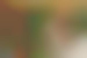 Insects as Jewelry: Cape Cod Cicada Swarms made into Insect Jewelry