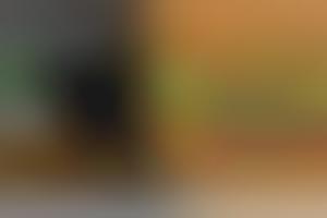 PETA Winning KFC Battle: New Classic Vegetarian Sandwich