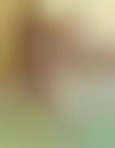 Terrifying Toys: The World's Most Hideous Doll