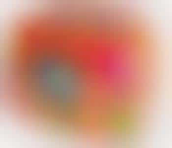 Funky Hippie Toasters: Pop Color Into Your Kitchen