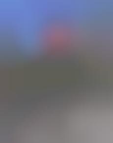 Blooming Street Art: 10 'Signs of Spring' by Mark Jenkins