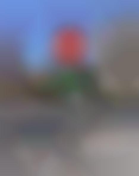 Blooming Street Art: 10 'Signs of Spring' by Mark Jenkins