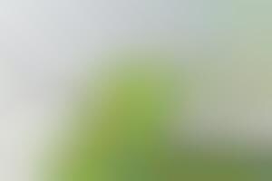 Green Grass Dining Decor : grass table runner