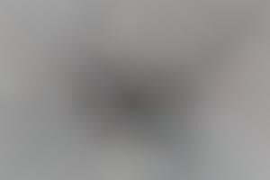 Fully Autonomous Quadcopters : fully autonomous quadcopter