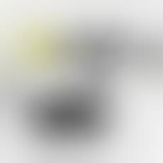 Time-Saving Zesting Machines : Lemon Zest