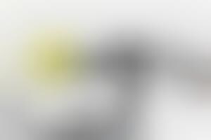 Time-Saving Zesting Machines : Lemon Zest