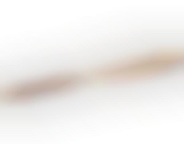 Luxury Leather Baseball Bats : baseball bats