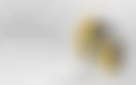 Untranslatable Word Illustrations : Maptia blog