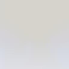 Paper Wire Sculptures : Polly Verity