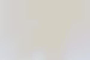 Paper Wire Sculptures : Polly Verity