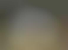 Airy Animal Enclosures : Geodesic Dome Outdoor Aviary