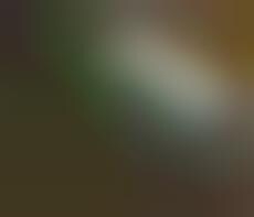 Grassy Baseball Coasters : Turf Base Coasters