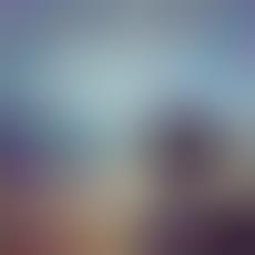 Unimpressed Dog Memes : Unimpressed Dog Memes