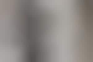 Forest Wall Shelving : Tree Decor