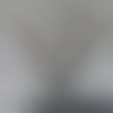 Abstracted Animal Shelving : Deer Shelf