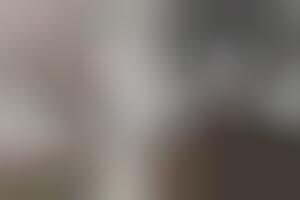 Spirit Animal Artworks : Emma Gale