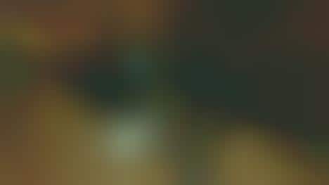 Laser Light Photography : Light Echoes