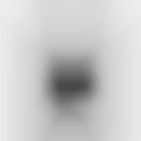 Rap-Inspired Cat Shirts : Let's Get Cray