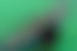 Two-Wheel Transportation Boards : S-Walker Board