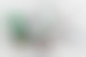 Building Block Fish Abodes : creative fish tank