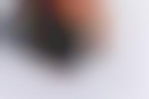 Concealing Phone Flasks : Phone Flask