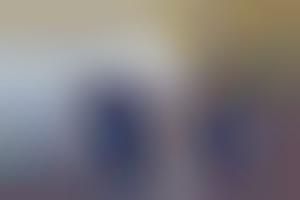 Solar-Powered Gadget Chargers : Solio Bolt