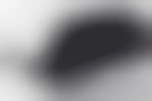 Functional Aquatic Staplers : stapler storage