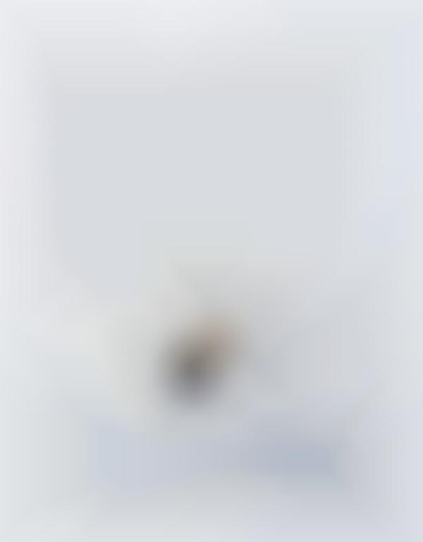 Pop-Up Paper Editorials : LuisaViaRoma Editorial