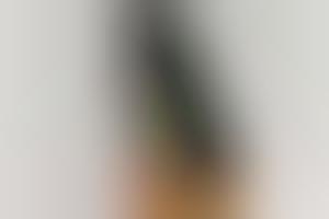 Adorable Aquatic Cable Wrappers : goldie cablekeep