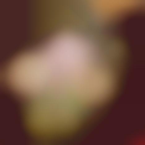 Comically Candid Coasters : funny coasters