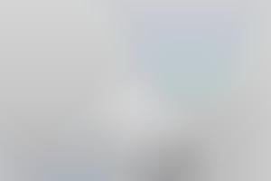 Miniature Aquatic Computer Mice : Wireless Dolphin Mouse