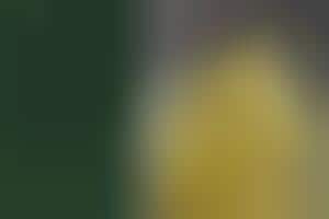 DIY Drug Dealer Costumes : Breaking Bad Halloween costume