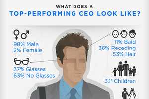 Powerful CEO Infographics : anatomy of a ceo