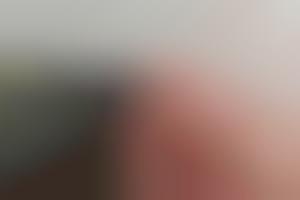 Motion-Detecting Sticker Pads : gecko tracker